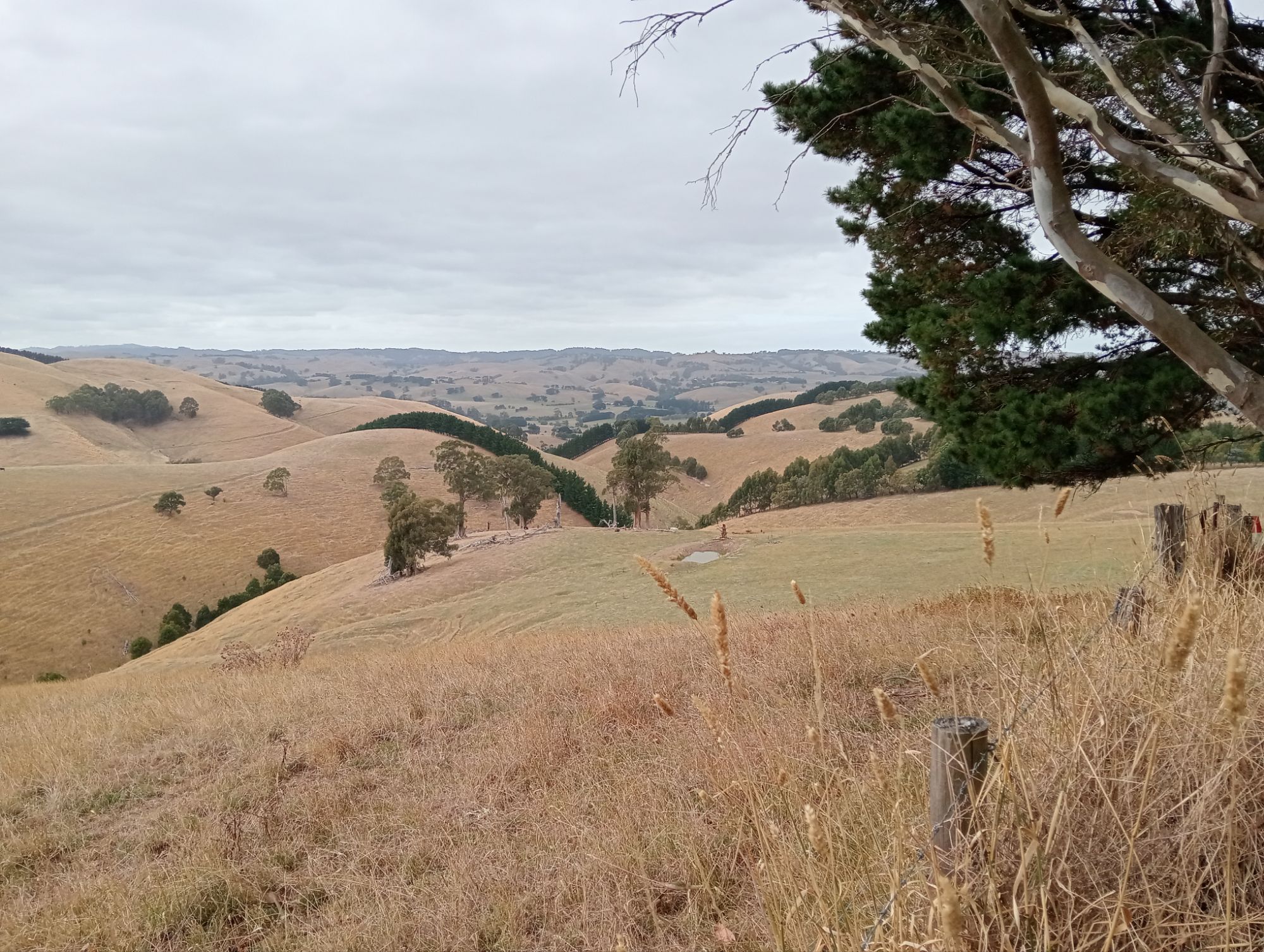 February Weather in Gippsland – Radio Southern Skies